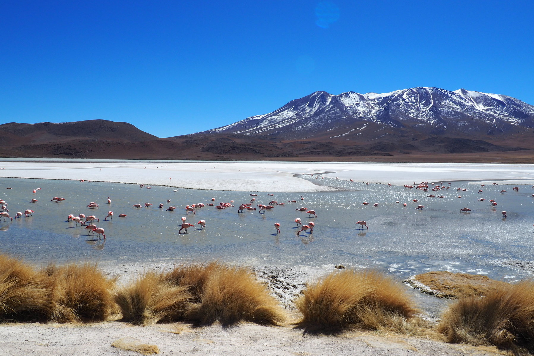 Interview Pérou, Bolivie, Chili | Devoyager
