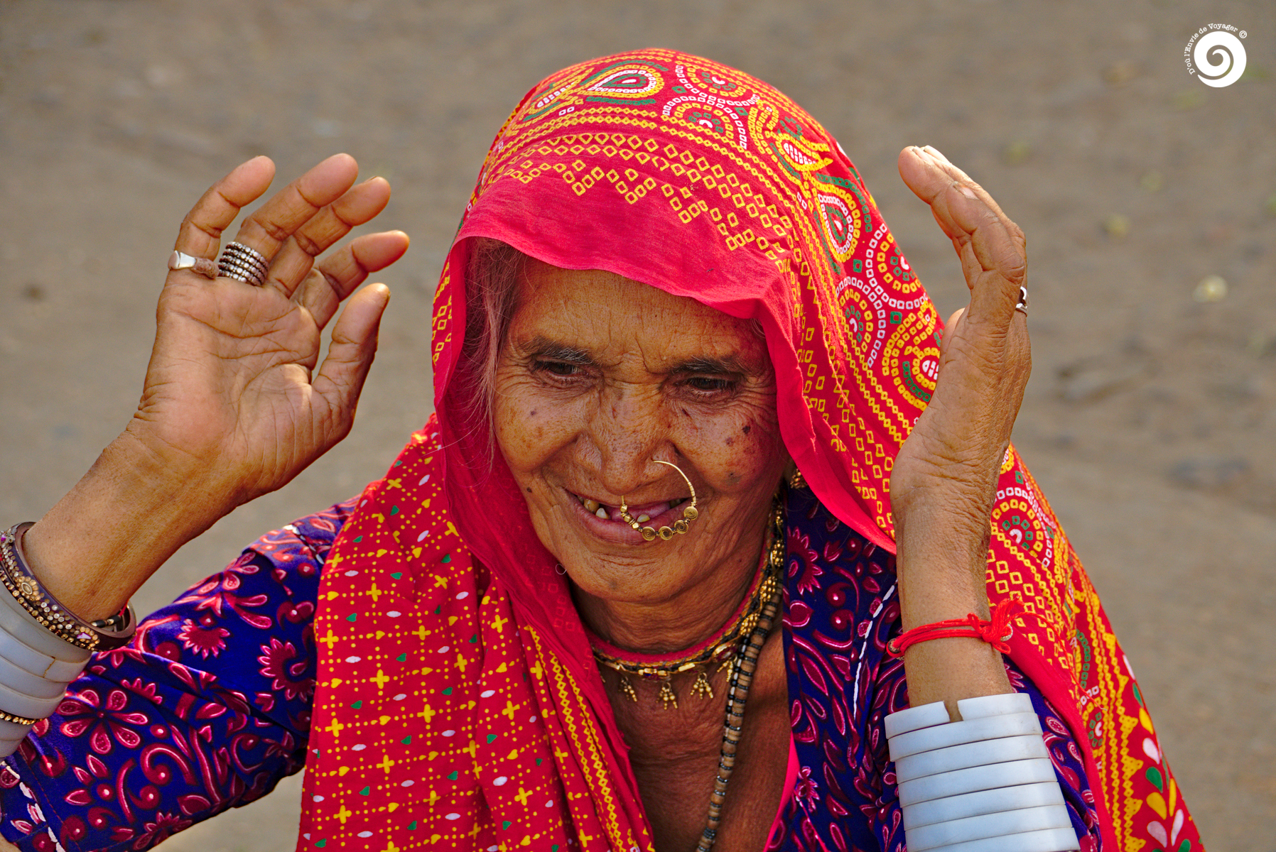 Rajasthan et autres merveilles | Devoyager